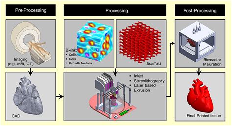 Frontiers 3d Bioprinting At The Frontier Of Regenerative Medicine