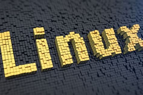 如何学习一种新的编程语言?通过编写 猜测数字”游戏来探索linux中的bash 知乎 如何学习一种新的编程语言?通过编写 猜测数字”游戏来探索linux中的bash 知乎