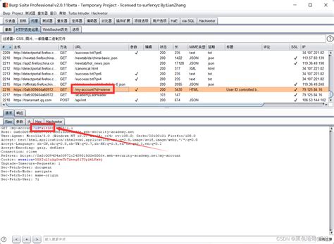 【burpsuite安全练兵场 服务端7】访问控制漏洞和权限提升 11个实验（全）burpsuite 接口鉴权安全测试 Csdn博客