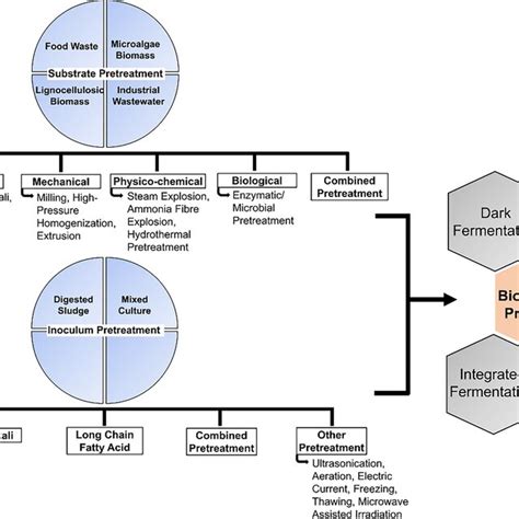 Different Biohydrogen Production Processes A Dark Fermentation B Download Scientific Diagram