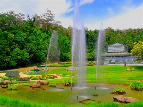 องค์การสวนพฤกษศาสตร์ ข้อมูลโครงการ Tatstar