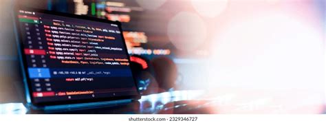 Professional Development Programmer Working Background Coding Stock