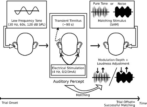 Figure 3 From Modulation Of Auditory Percepts By Transcutaneous Electrical Stimulation