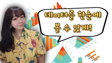데이터 시각화 YouTube