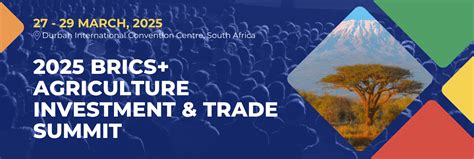 About Brics Wba Brics Womens Business Alliance