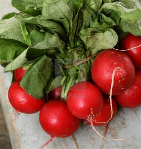 Rrepë E Kuqe 500 Gr Ferma Ime