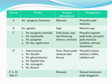 Streptococcaceae 3 3pptx