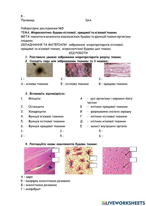 Лабораторне дос… Free Interactive Worksheets 2272632