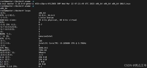 银河麒麟国产化系统（或者是linux）一键安装docker和docker Compose 银河麒麟安装docker Csdn博客