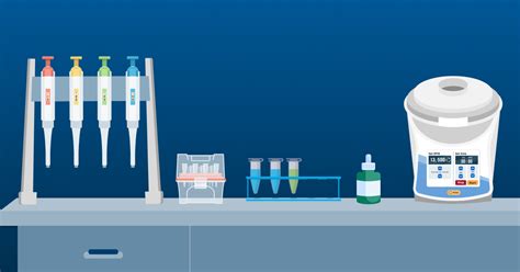 Virtual Lab Simulations