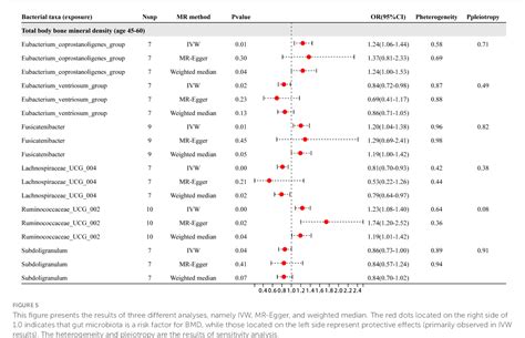 Figure 5 From The Causal Relationship Between Gut Microbiota And Bone