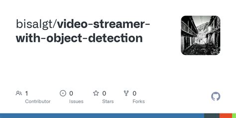 GitHub Bisalgt Video Streamer With Object Detection