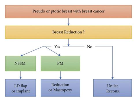 Algorithm For Reconstructive Breast Surgery In True Ptotic Or