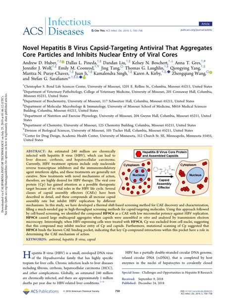 Pdf Novel Hepatitis B Virus Capsid Targeting Antiviral That