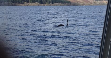 Loch Ness Monster Compelling New Sighting Emerges Then Submerges