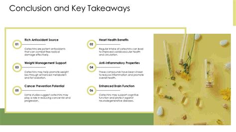 Conclusion And Key Takeaways Catechin Ppt Sample St Ai Ss Ppt Example