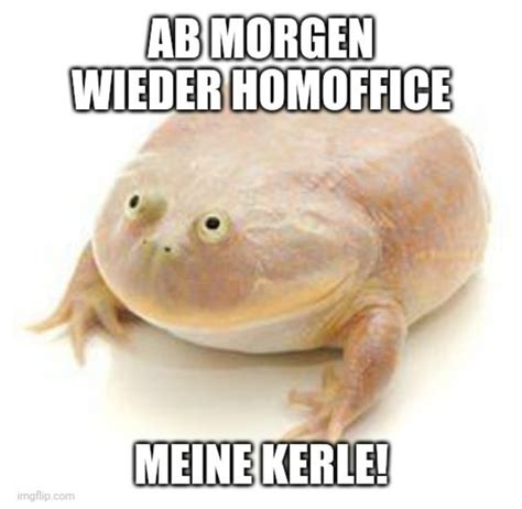 Leaked Scp Sl Official Modding Section Q1 2021 R Scpsecretlab