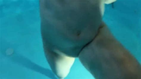 Good Slut Filmed In Pool With Gopro Eporner