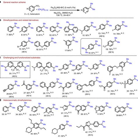 Synthesis Of Hetero Aromatic N N Dimethylaminesa A General Scheme Download Scientific Diagram