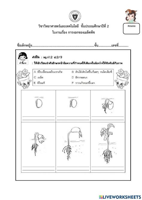 วิทยาศาสตร์ป 2 เรื่องพืช Worksheet วิทยาศาสตร์ สอนศิลปะ