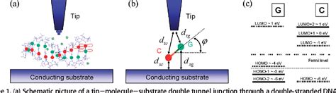 Figure 1 From Scanning Tunneling Spectroscopy Of Single Dna Molecules Semantic Scholar