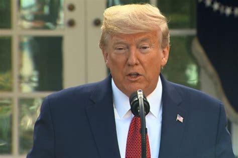 Дональд Трампын коронавирусийн шинжилгээний хариу сөрөг гарчээ