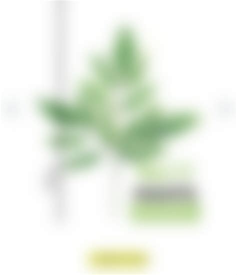 Цена оптом 70руб упак 12шт 840руб Искусственные цветы пластик Высота 55см 1 букет 2025