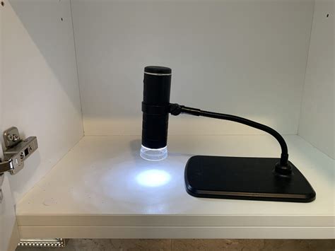 Booklice Like High Moisture Areas