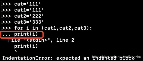 Python报错：indentationerror Expected An Indented Block Csdn博客
