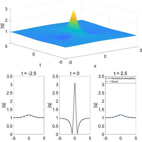 Top The Numerical Solution Gained By The Newton Cg Method Bottom Download Scientific Diagram