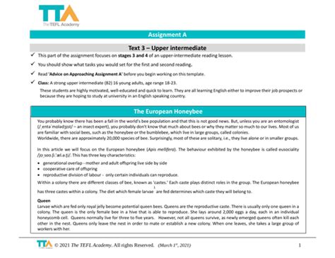 Tefl Level 5 Assignment A Teaching Resources
