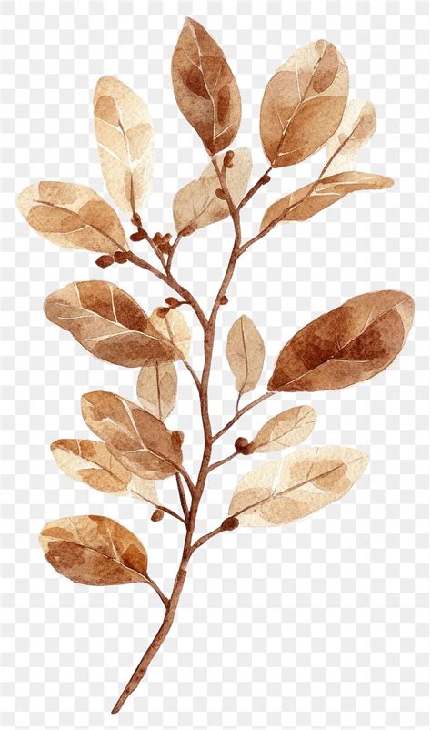 Png Mistletoe Leaf Art Illustration Premium Png Rawpixel