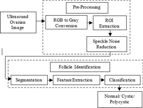 Block Diagram Of Automatic Detection Of Ovarian Follicles In Ultrasound