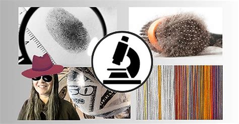 Exploring Microscopy Forensic Science Microscope Lab Work