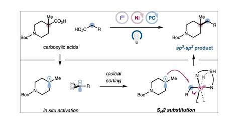 Erick Carreira On Linkedin Jacs Nickel Catalysis Homolytic