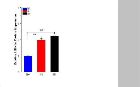 Origin绘制柱状图哔哩哔哩bilibili Origin绘制柱状图哔哩哔哩bilibili