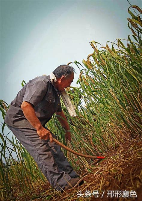 80後、90後可能從沒見過的那些老行當——磨剪子，搶菜刀 每日頭條