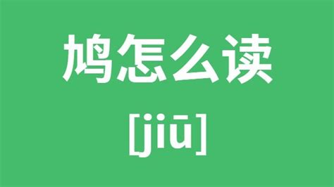 鸠怎么读 鸠的拼音 鸠字是什么意思 学习力