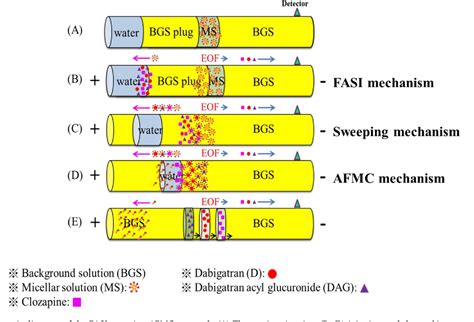 Figure 1 From A Three Step Stacking Capillary Electrophoresis Of Field