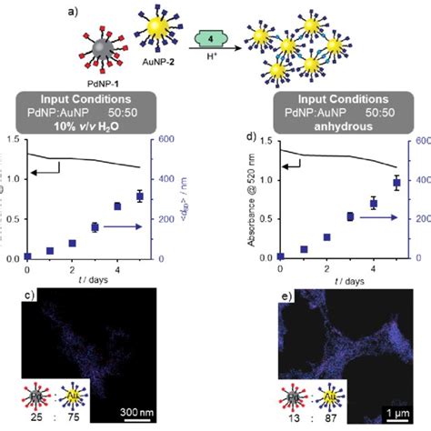 A Co Assembly Of Nucleophilic Pdnp 1 And Electrophilic Aunp 2 From