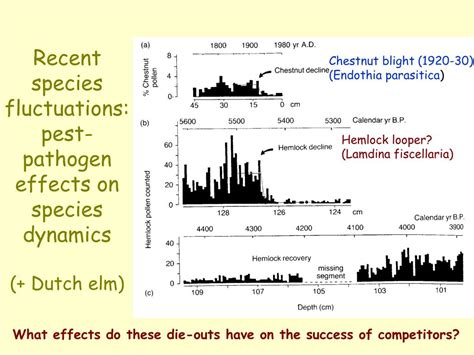 Ppt Temperate Deciduous Mesophytic Forests Powerpoint Presentation Id 365926