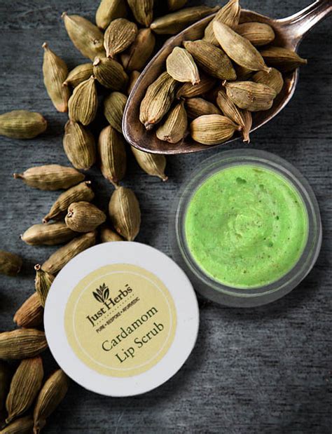 Cardamom Lip Scrub Size 1 Unit By Just Herbs