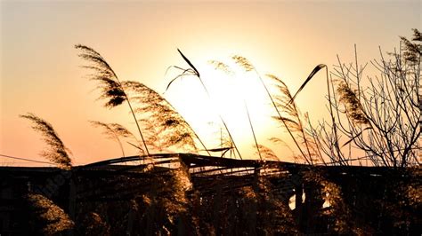 Country Sunset Chart Countryside Sunrise Powerpoint Background For Free Download Slidesdocs