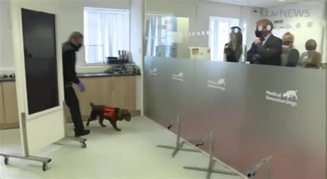 Taimur Khan On Linkedin Pooch