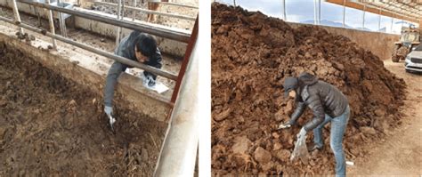 Sampling Of The Field Sample Download Scientific Diagram