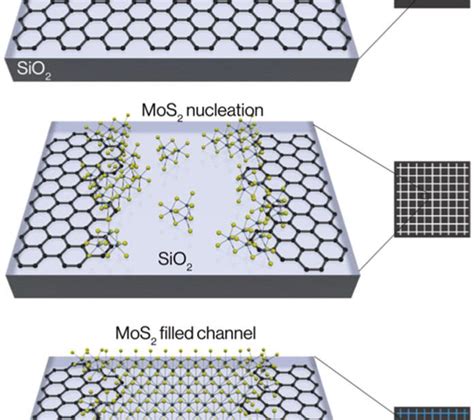 Scientists Grow Atomically Thin Transistors And Circuits