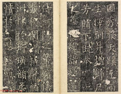 唐代楷书拓本唐故文安县主墓志铭 第2页 墓志塔铭书法欣赏