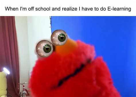 Meme Do Elmo Elmo Is A Good Decision Maker R Memes