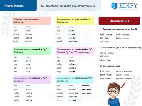 Множественное число существительных в английском языке — правила и исключения
