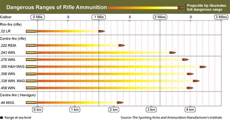 Ammo And Gun Collector Rifle Caliber And Shotgun Load Dangerous Range Charts